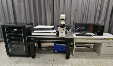 激光扫描共聚焦显微镜-迈科技技术库